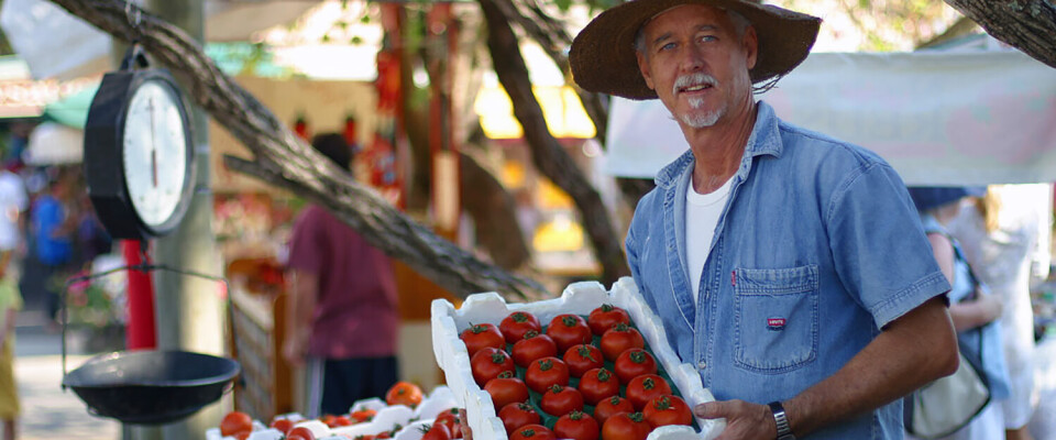 Top markets on the Sunshine Coast